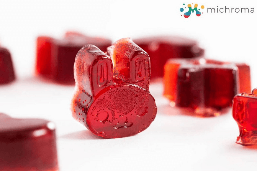 菌類由来の熱安定性に優れたビーガン着色料を開発するMichromaとは | Foovo -フードテックニュースの専門メディア-