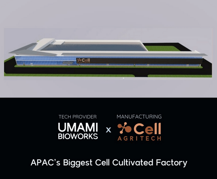 Umami BioworksとCell AgriTech、東南アジア最大の培養肉工場計画を発表 | Foovo -フードテックニュースの専門メディア-