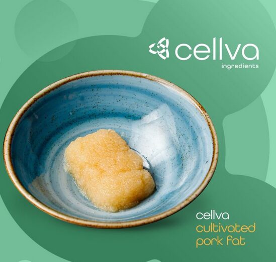 ブラジル初の培養脂肪企業Cellva Ingredientsが約2億円を調達 | Foovo -フードテックニュースの専門メディア-