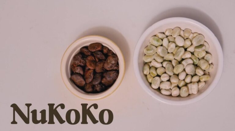 チョコレート会社創業者が立ち上げたNukoko、そら豆由来のカカオフリーチョコレートを来年上市へ【創業者インタビュー】 | Foovo ...