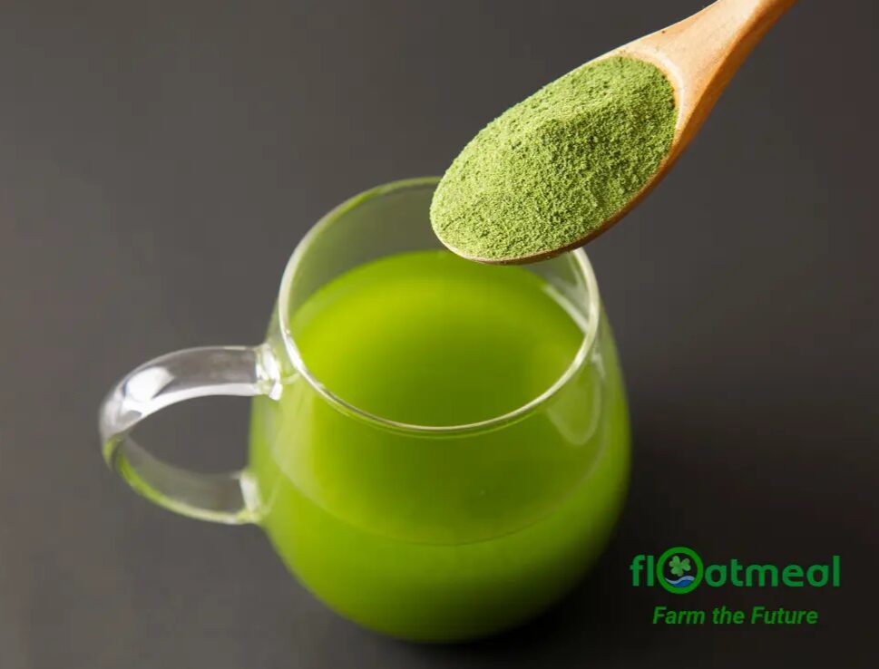 北大発のFloatmeal、ウォルフィアの本格生産に向けた実証試験を開始 | Foovo -フードテックニュースの専門メディア-