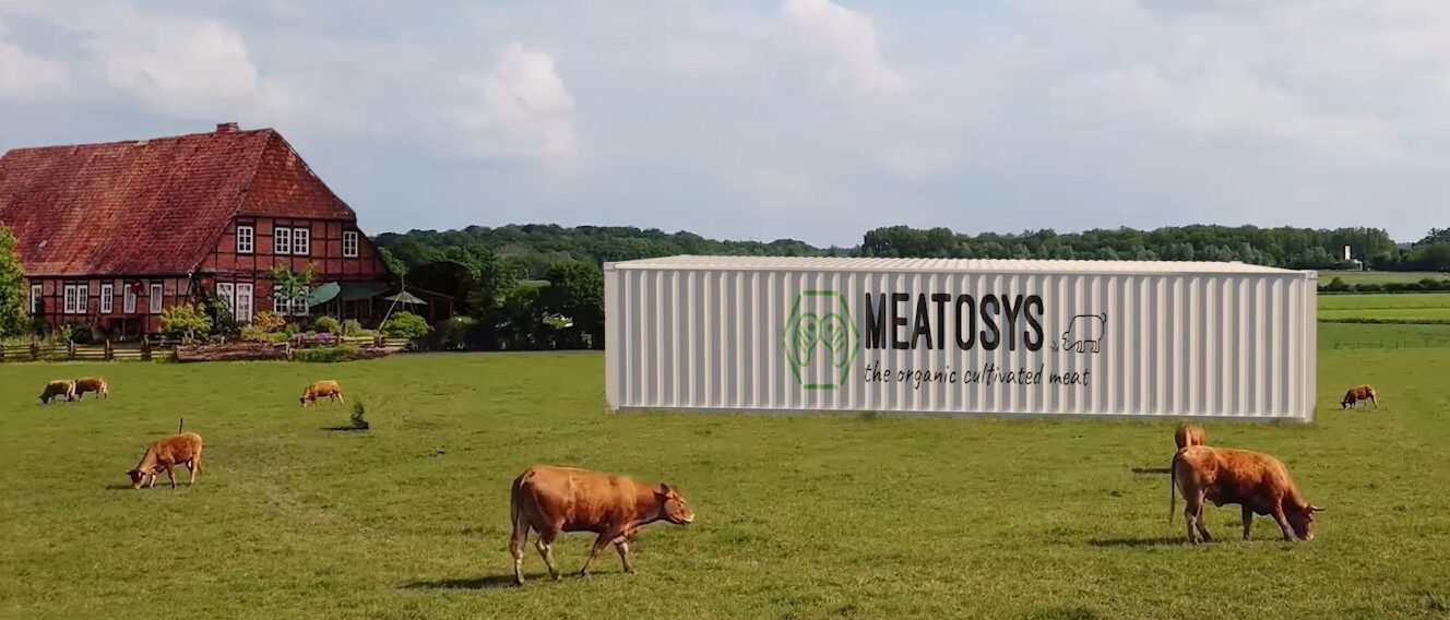ドイツのMeatosys、農家の培養肉生産を可能にするモジュール型コンテナを開発 | Foovo -フードテックニュースの専門メディア-