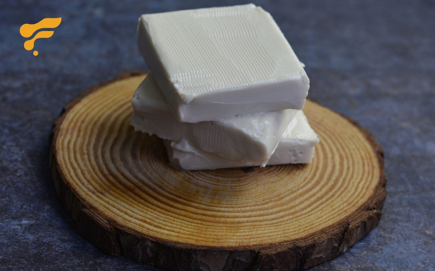 シンガポールのFattastic Technologies、タイ味の素と健康的な代替脂肪で協業へ｜国内外で加速する代替脂肪開発 | Foovo -フードテックニュースの専門メディア-